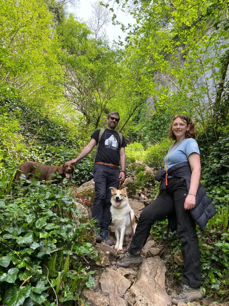 5 Great Walks in Somerset – You and Your Dog will Love! (2024)